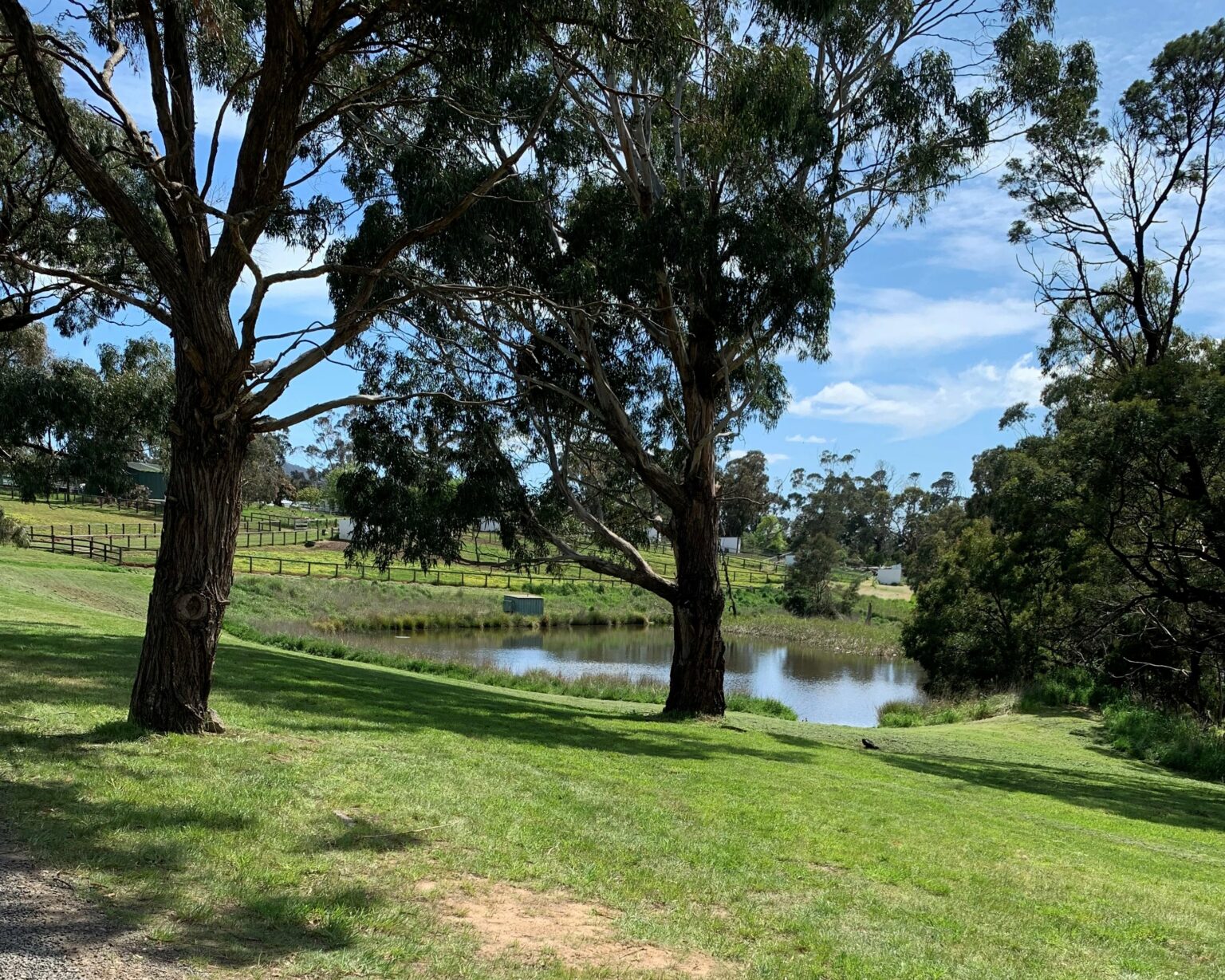 Welcome to Ultra Thoroughbreds - Ultra Thoroughbreds